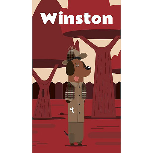 Winston | Board Games India
